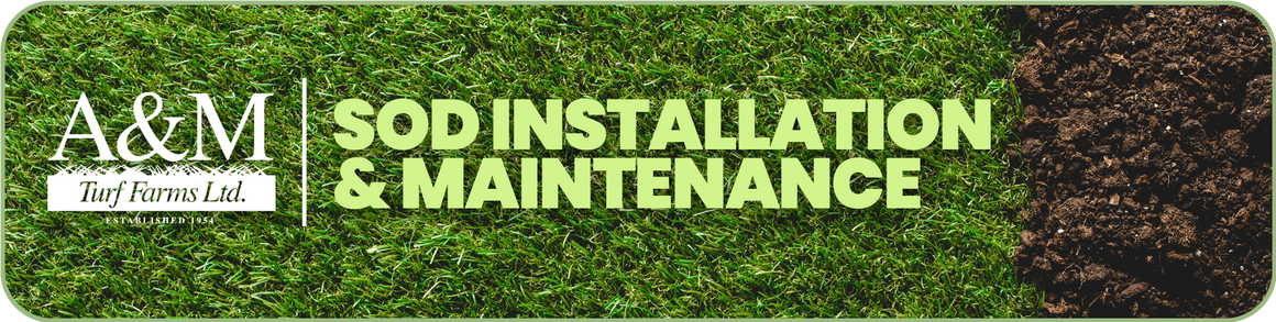 Sod Installation & Maintanance - A&M Sod Supply – A+M Sod Supply
