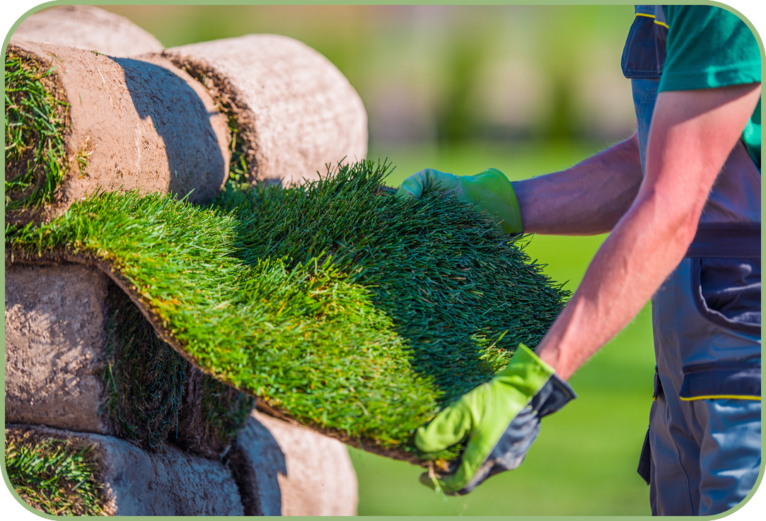 About Us - A&M Turf Farms