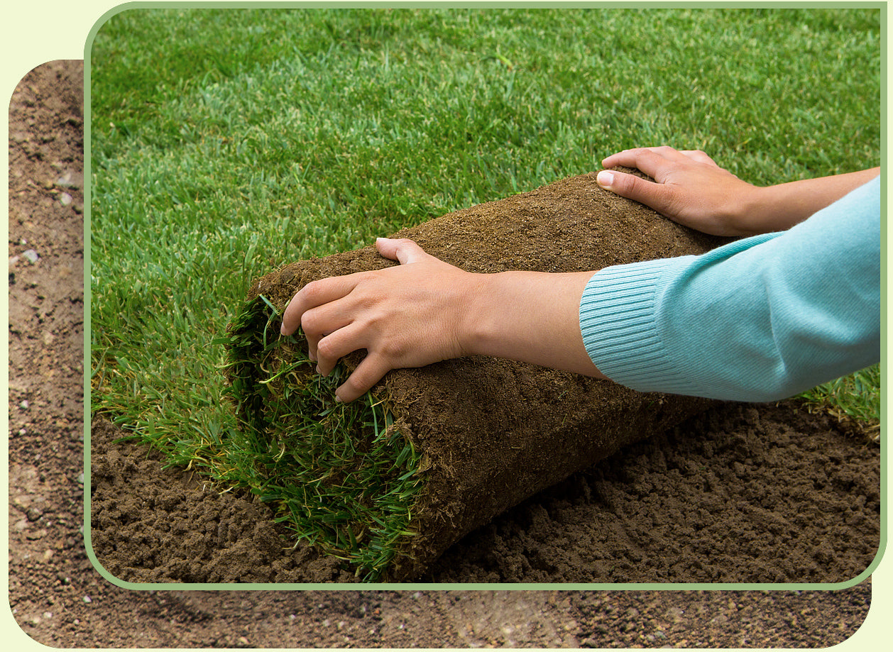 A&M Turf Farms - Local Field Fresh Sod & Grass Seed Delivery